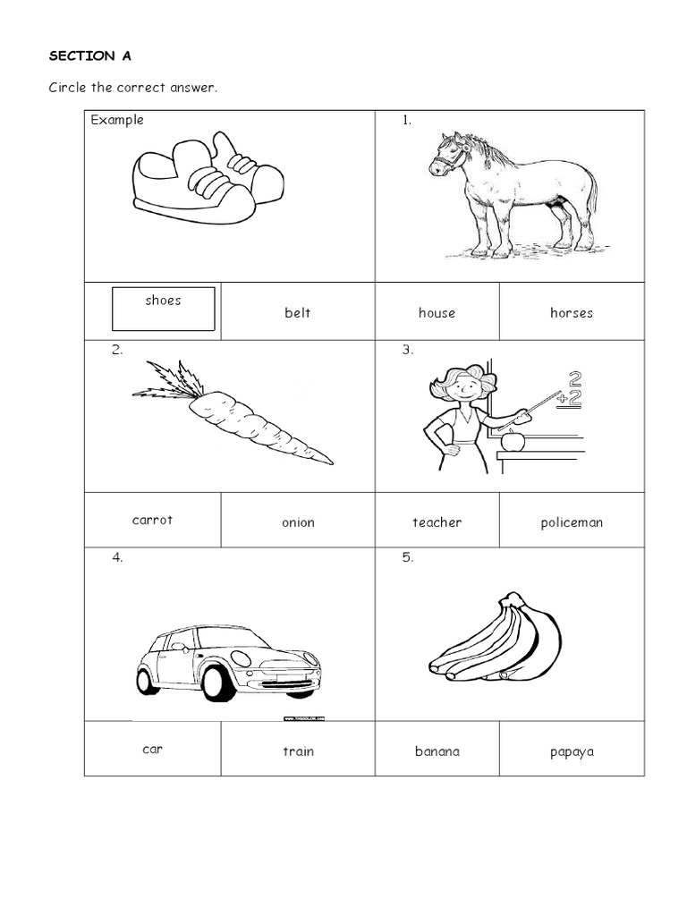 Circle The Correct Answer. Example 1.: Section A | PDF | Wellness
