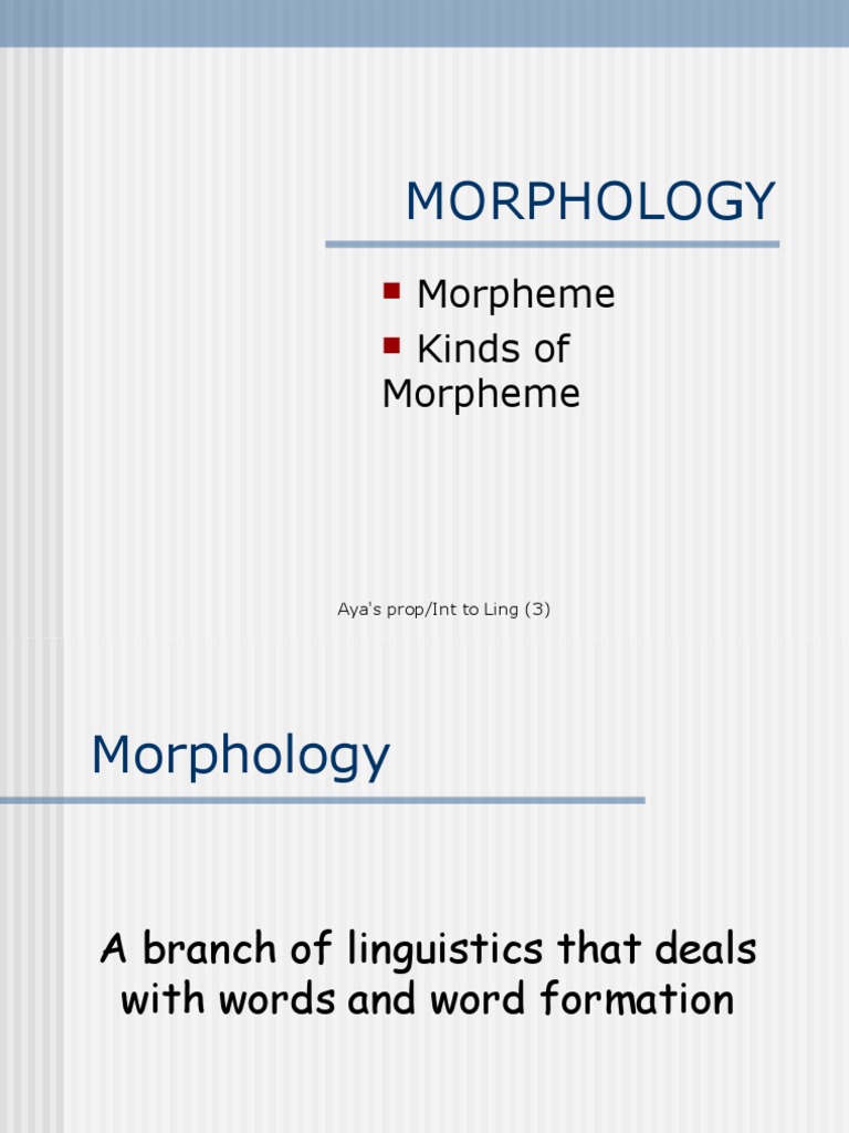 Morphology | Morphology (Linguistics) | Word