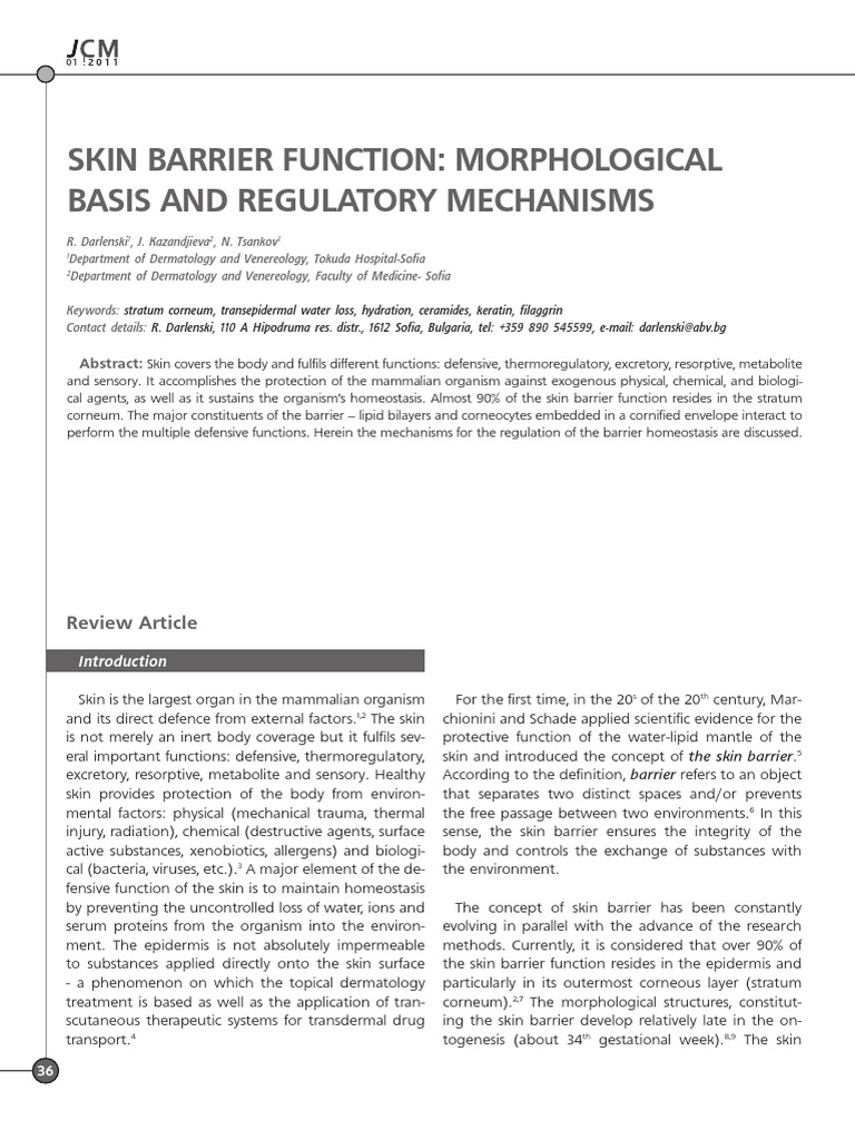 Skin Barrier Function - Morphological Basis and Regulatory Mechanisms ...