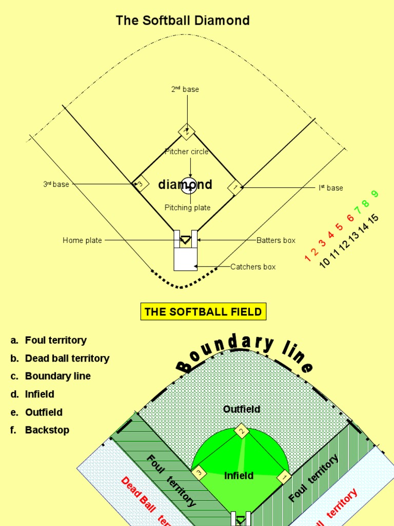 Softball Field Layout & Player Positions | PDF