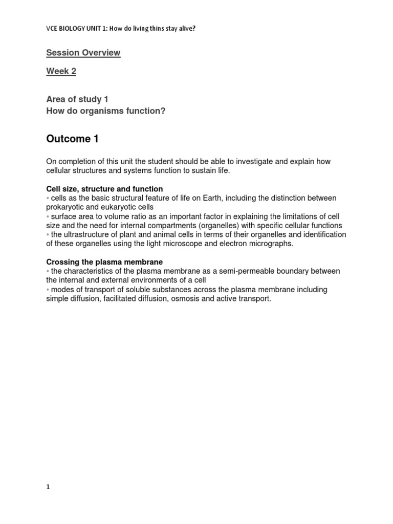 VCE Biology: Cell Function Basics | PDF