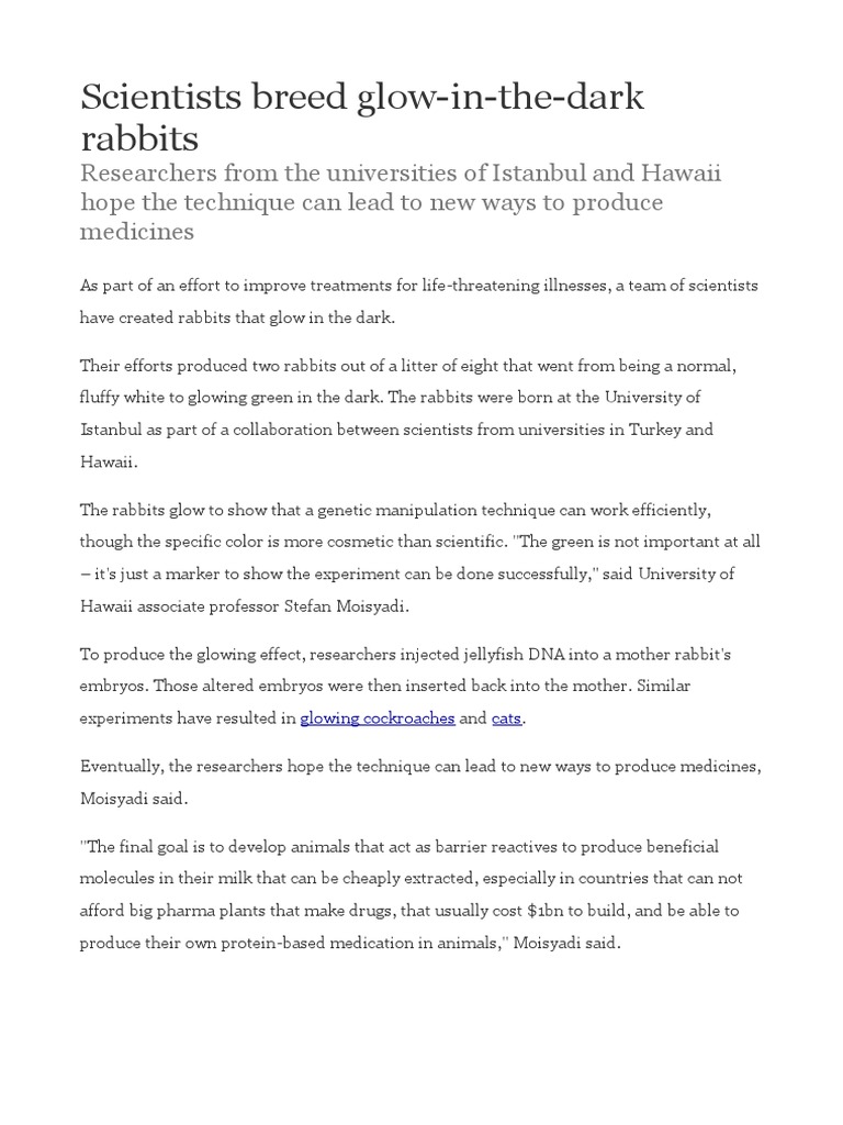 Glow in The Dark Rabbits | PDF