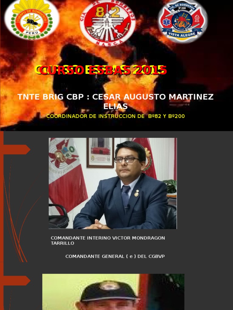 Esbas 2015 | PDF | Combustión | Fumar