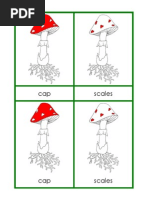 Tree Nomenclature Cards | PDF