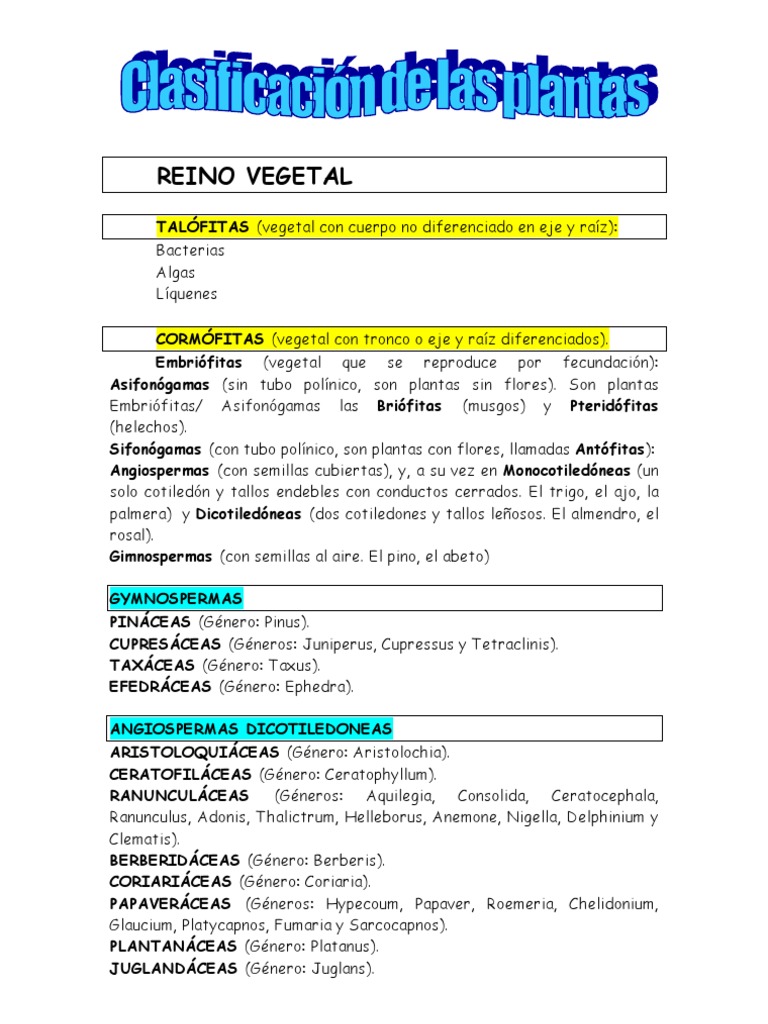 Clasificación de Las Plantas | PDF | Botánica | Plantas