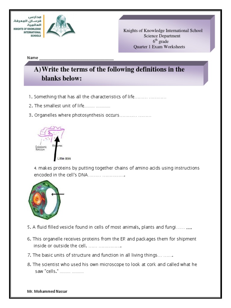 6th Grade Quarter 1 Science Exam Worksheets . | PDF | Cytoplasm | Cell ...