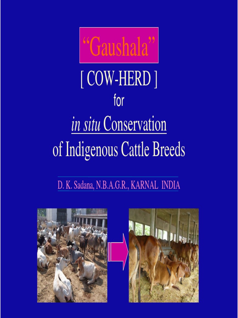 gAUSHALA PROJECT REPORT | PDF | Cattle | Biogas