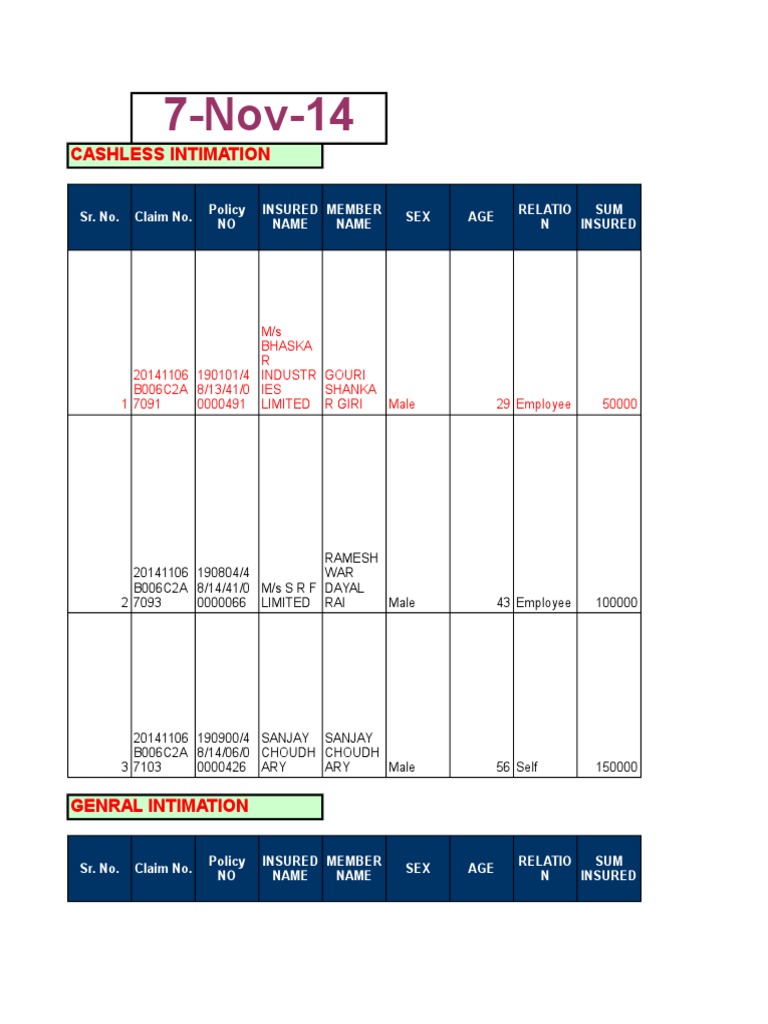 Cashless Insurance Claims Overview | PDF