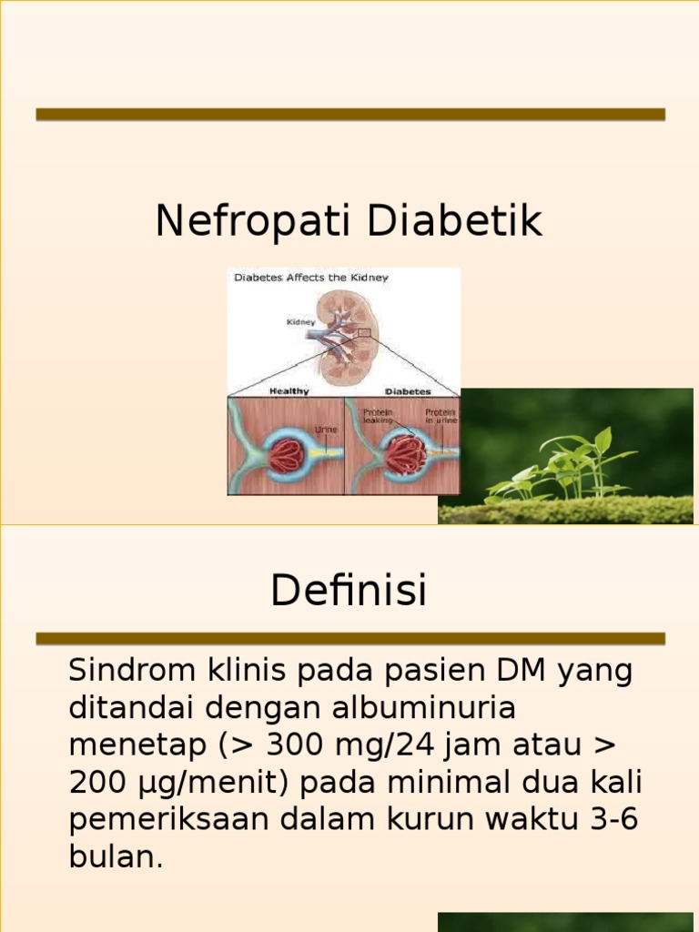 Nefropati Diabetik: Definisi dan Terapi | PDF