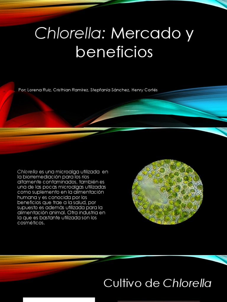 Chlorella PDF | PDF | Alimentos | Antioxidante
