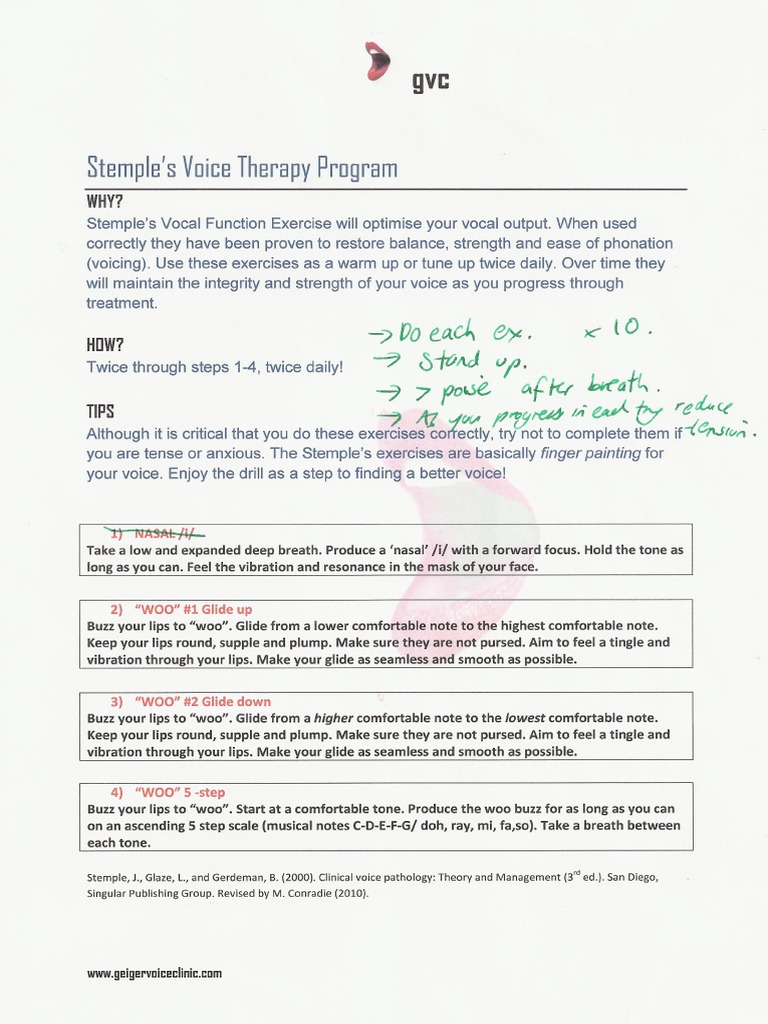 Stemple S Voice Therapy Program | PDF