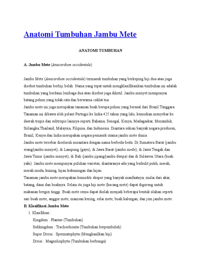 Anatomi Tumbuhan Jambu Mete | PDF