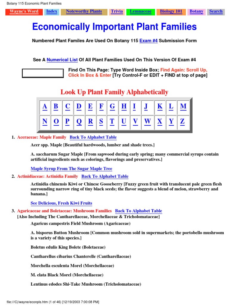 Economic Plant Families Overview | PDF | Coconut | Vegan Cuisine