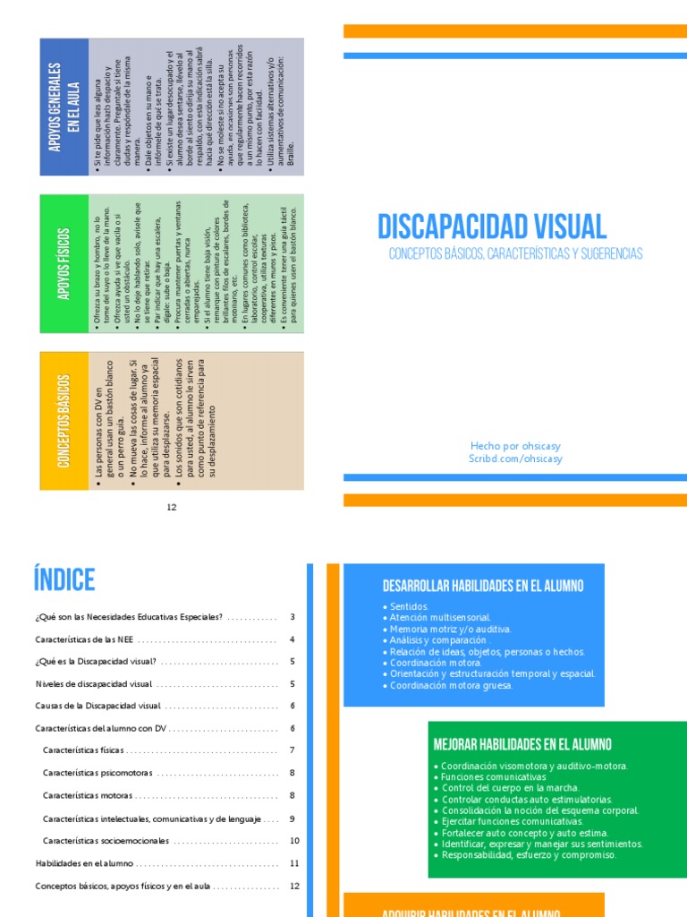 Discapacidad Visual: Características y Necesidades | PDF | Ojo humano ...
