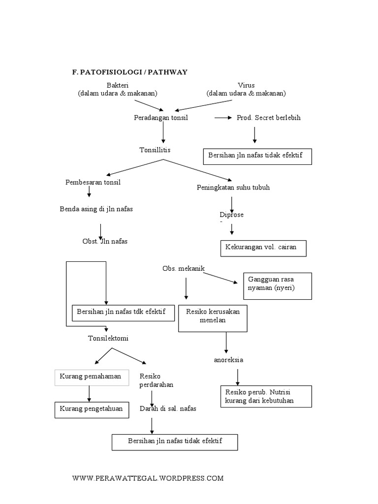 Pathway Tonsillitis | PDF