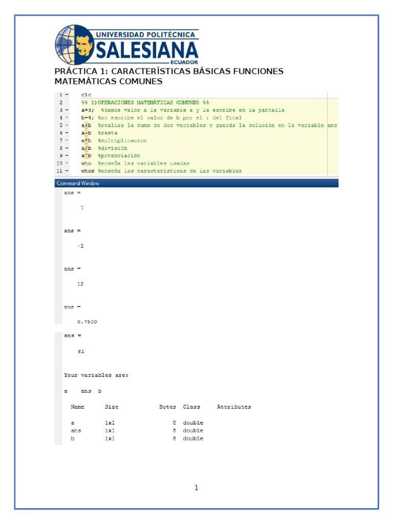 Uso de Matlab (Básico) | PDF | Degradado | Ascii