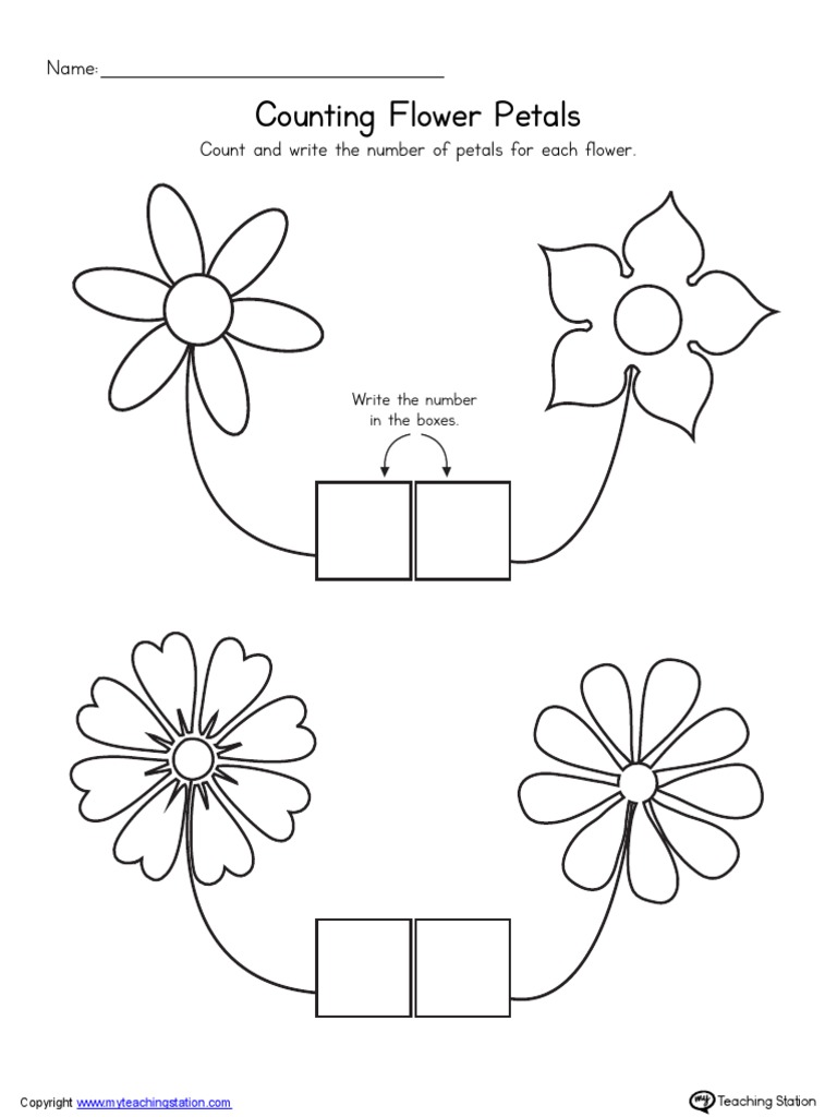Counting Flower Petals Activity | PDF