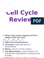Mitosis Virtual Lab Answer Sheet Part2 | PDF | Mitosis | Cell Cycle