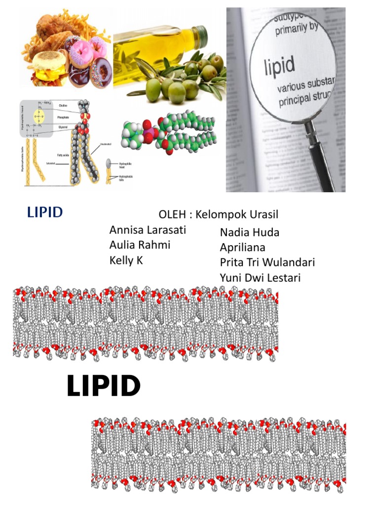 Jenis-Jenis Lipid dan Strukturnya | PDF