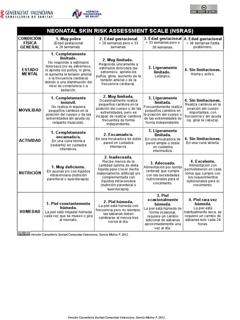 Neonatal Skin Risk Assessment Scale Version Castellano Garcia Molina P ...