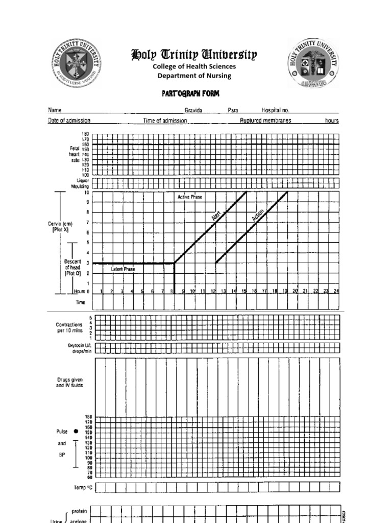 Partograph Form | PDF | Childbirth | Health Sciences