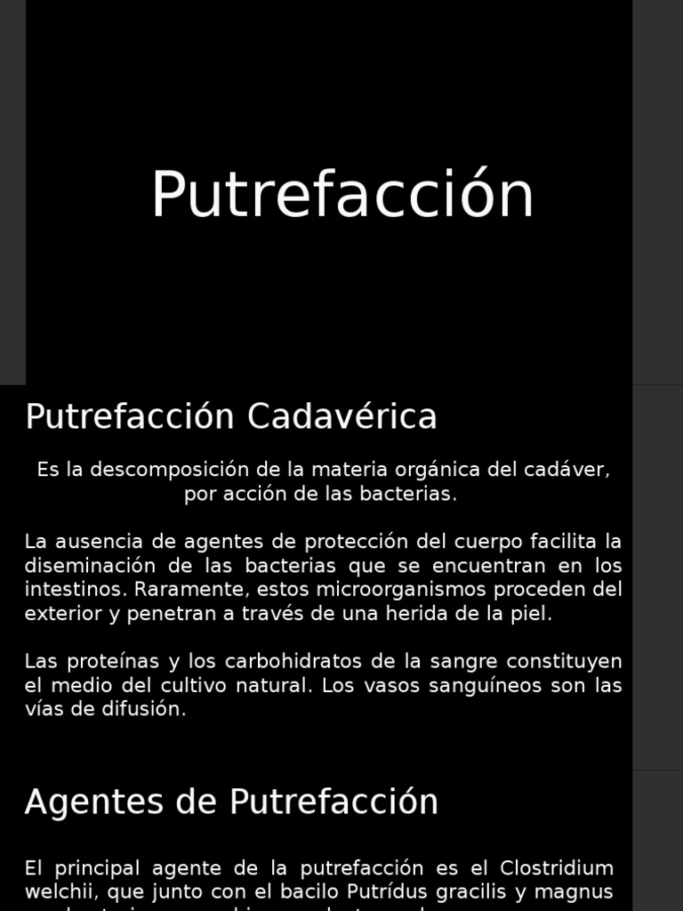 Etapas y Proceso de Putrefacción Cadavérica | PDF | Descomposición ...
