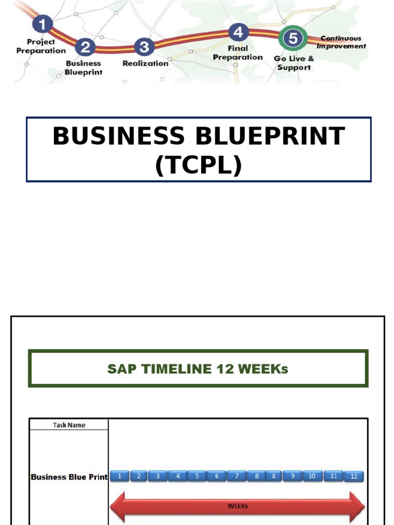 SAP Business Blue Print | PDF