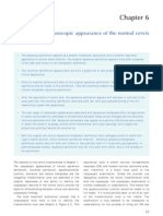 Cervical Anatomy and Histology Overview | PDF | Epithelium | Histology