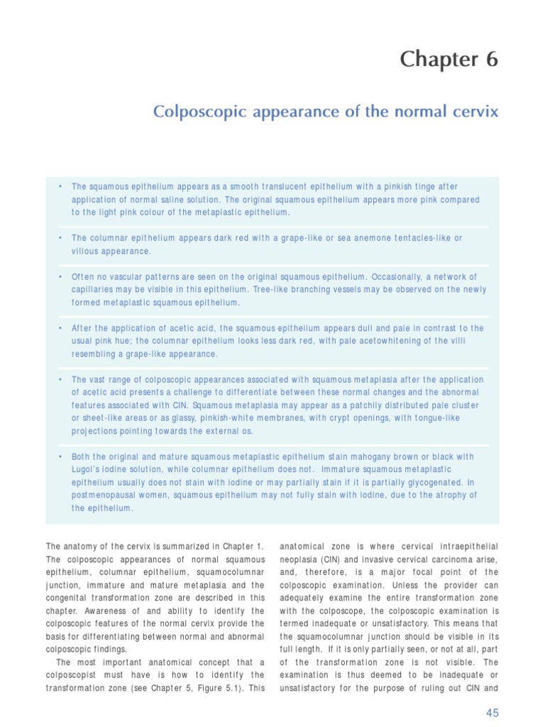 The Colposcopic Appearance of the Normal Cervix: A Guide to Identifying ...
