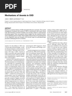 Simplified Glucommander Protocol | PDF