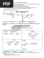 Food Web and Chain Overview | PDF | Food Web | Frog