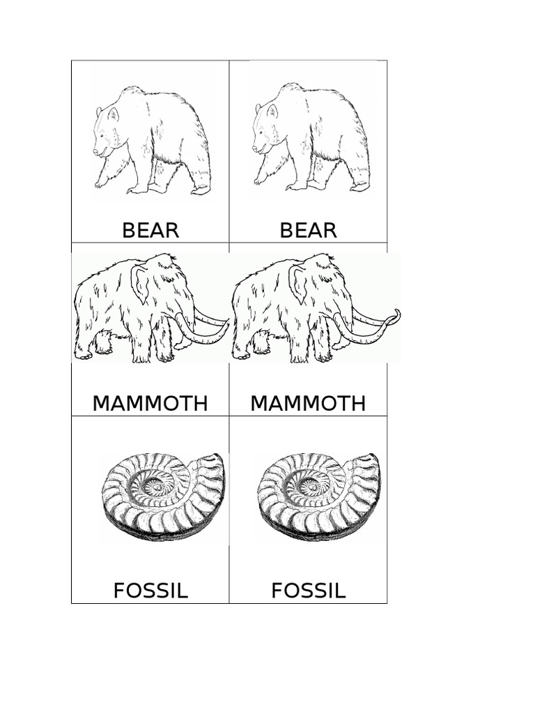 Flashcards Prehistoria | PDF