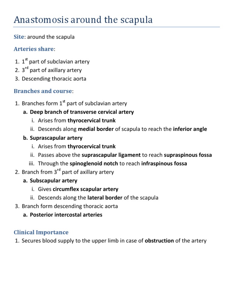 Scapular Anastomosis Overview | PDF | Limbs (Anatomy) | Musculoskeletal ...