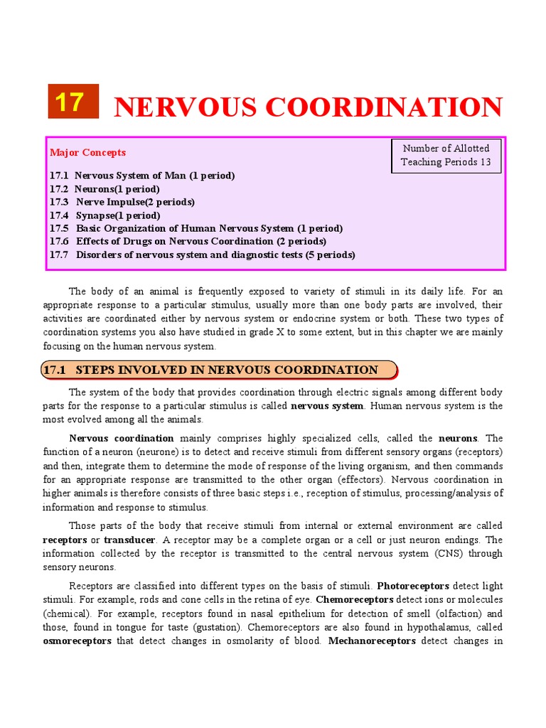 Ch-17 Nervous Coordination | PDF