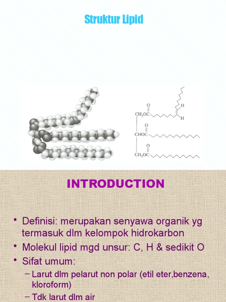 Struktur Lipid | PDF