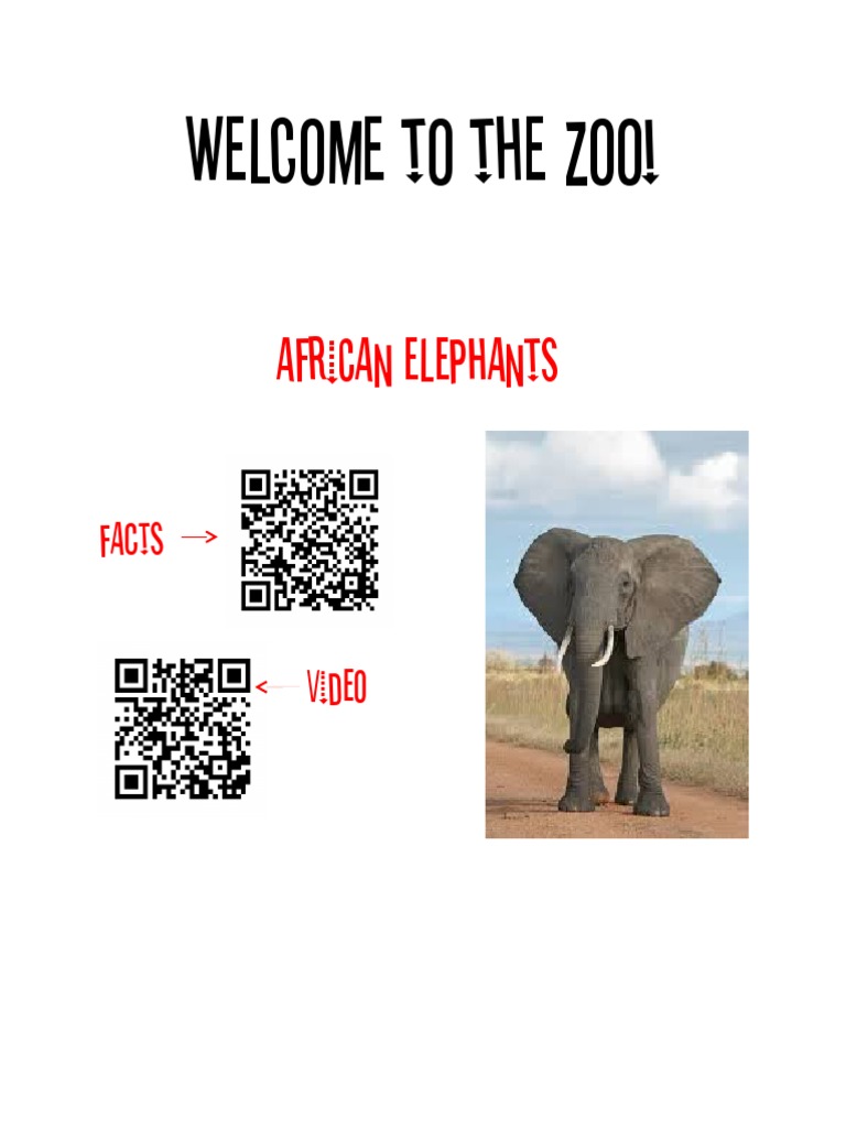 QR Code Project | PDF