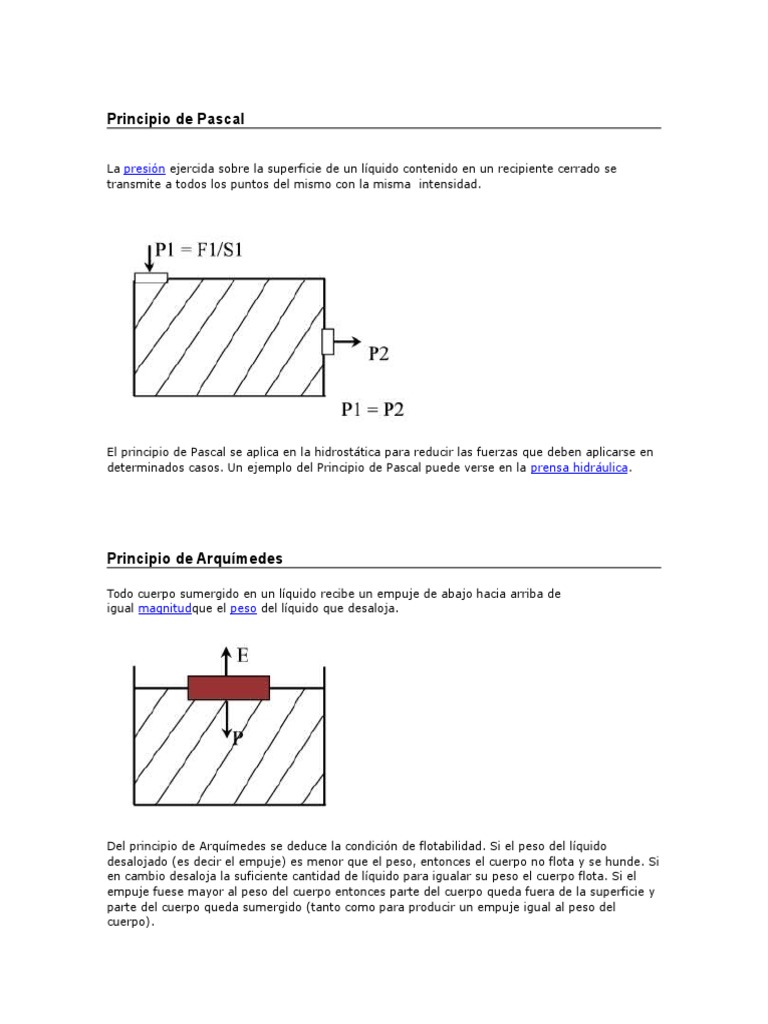 Principio de Pascal | PDF | Líquidos | Presión