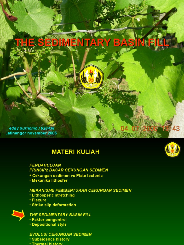 The Sedimentary Basin Fill | PDF