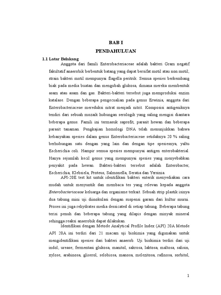 Makalah API 20E | PDF