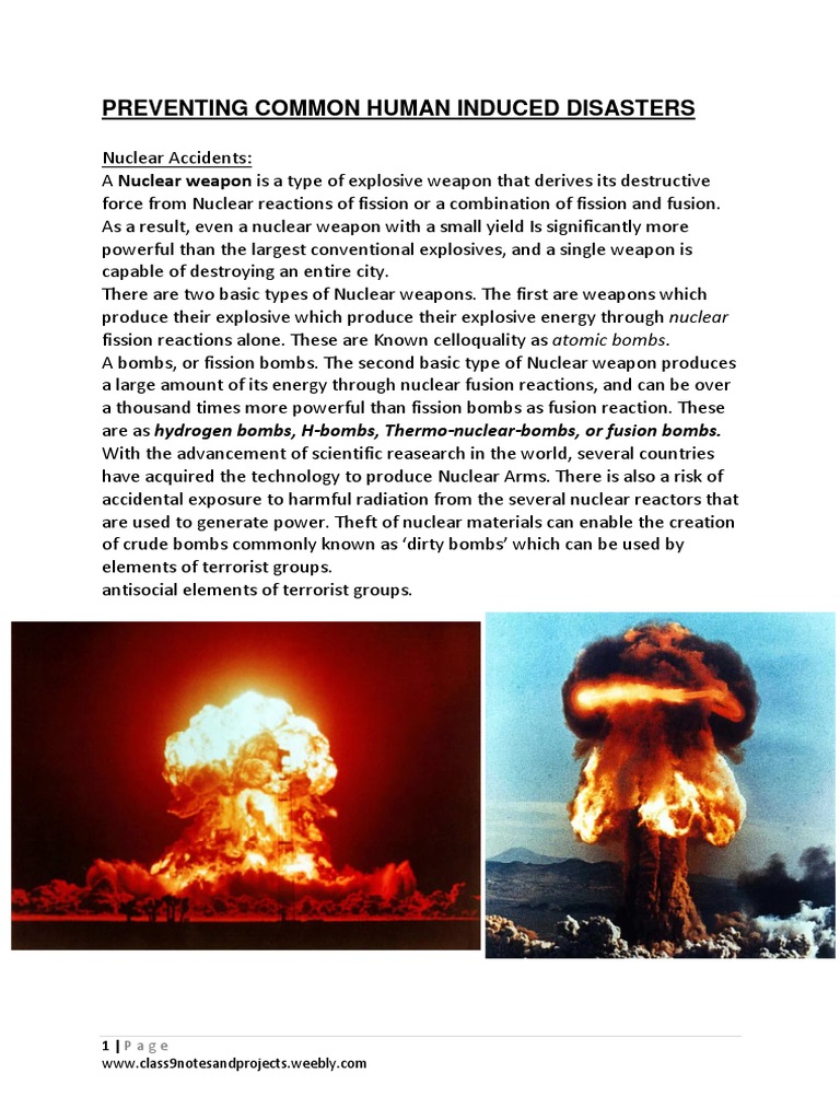 Preventing Common Human Induced Disasters | PDF | Nuclear Weapons ...