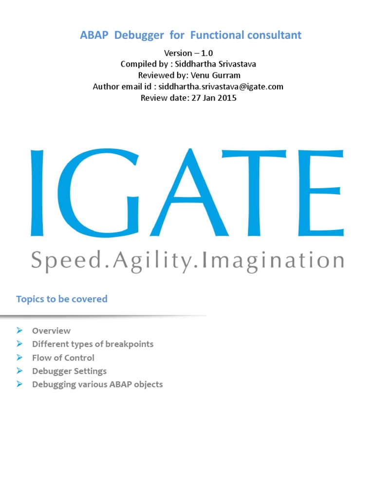 ABAP Debugging Guide for Consultants | PDF | Software Development ...