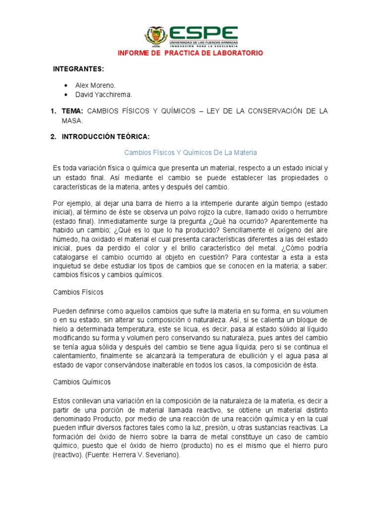 Informe De Practica De Laboratorio Reacciones Pdf Redox