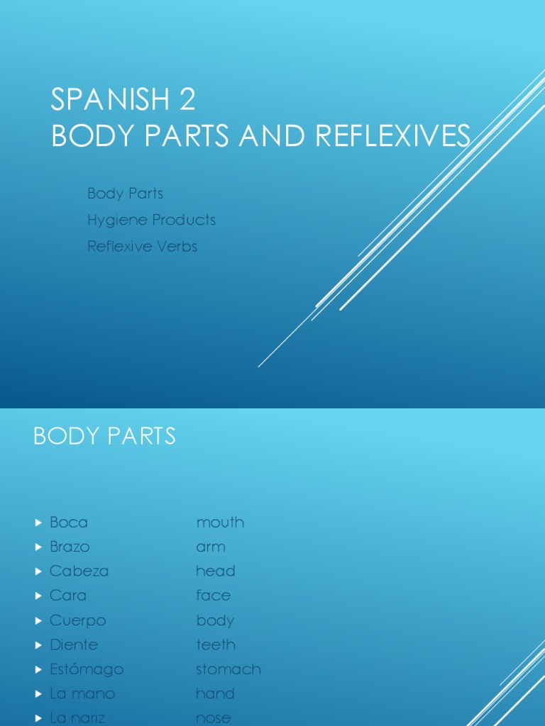 Body Parts and Reflexives | PDF | Grammatical Number | Syntax