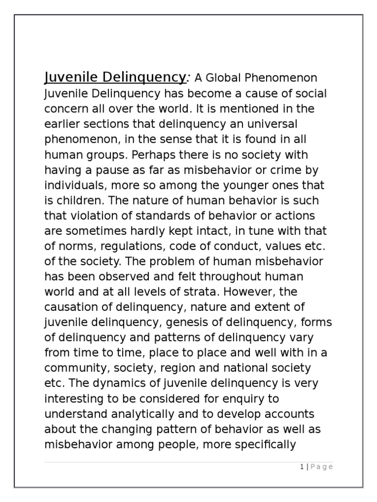 Juvenile Delinquency | Juvenile Delinquency | Human Behavior