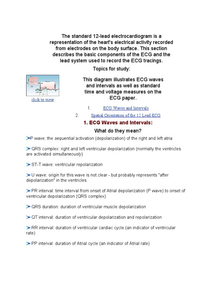 ECG Lesson 1 | PDF | Electrocardiography | Cardiovascular Physiology