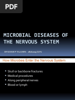 Meningitis | PDF | Meningitis | Candida (Fungus)