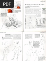 Drawing-Human Figure | PDF | Drawing | Face