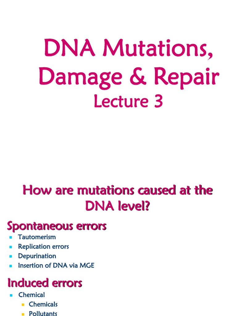 DNA Mutations: Causes and Repair Mechanisms | PDF | Dna | Dna Repair
