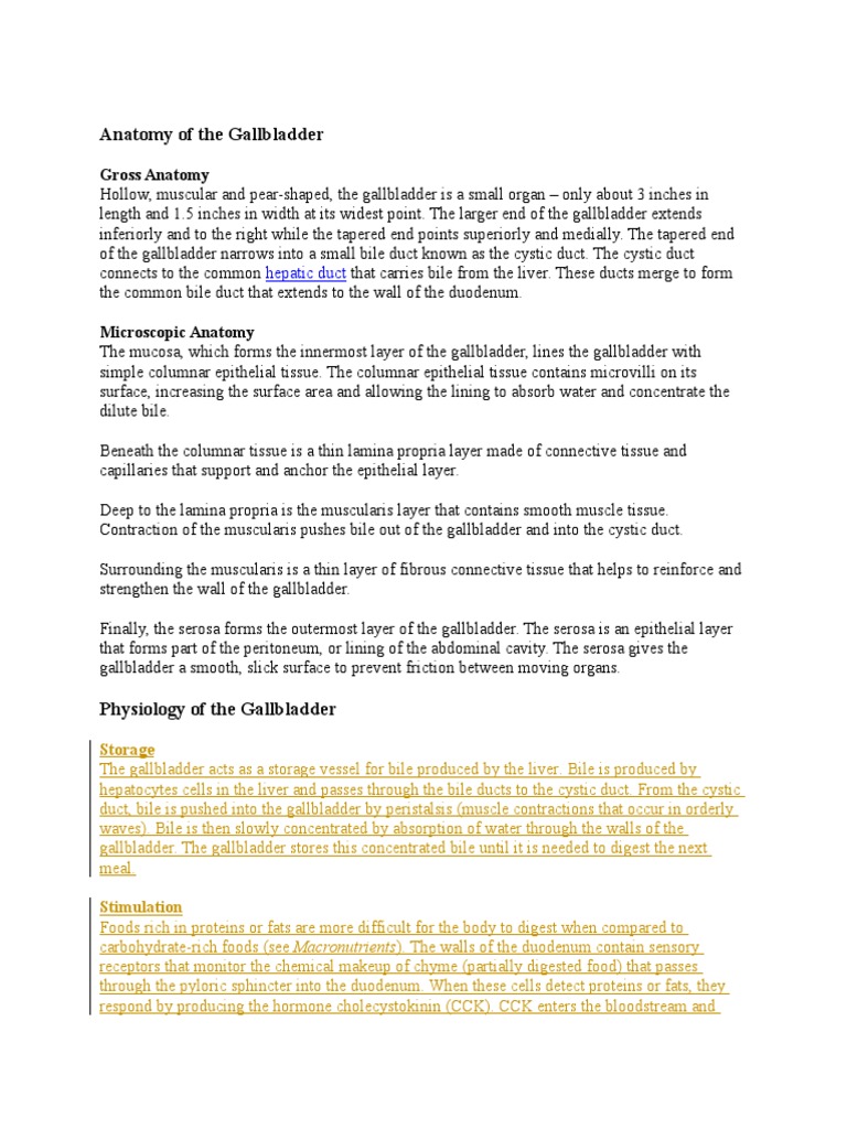 Anatomy of The Gallbladder | PDF | Gallbladder | Bile