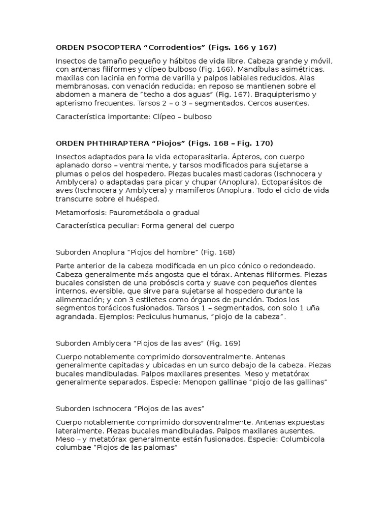 Características de Insectos Psocodeos y Piojos | PDF | Insectos | Mosca